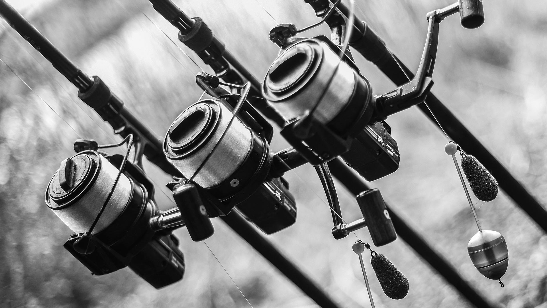 Fox Archives - Weston Developments